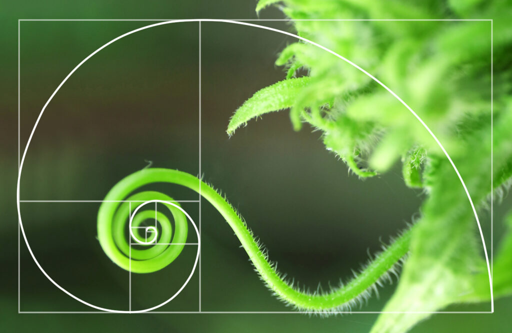 The Incredible Golden Spiral – skyspirit-education